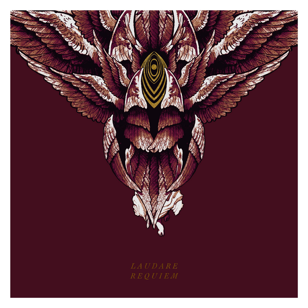 Le Blog du Néoprog -Le Blog du Néoprog